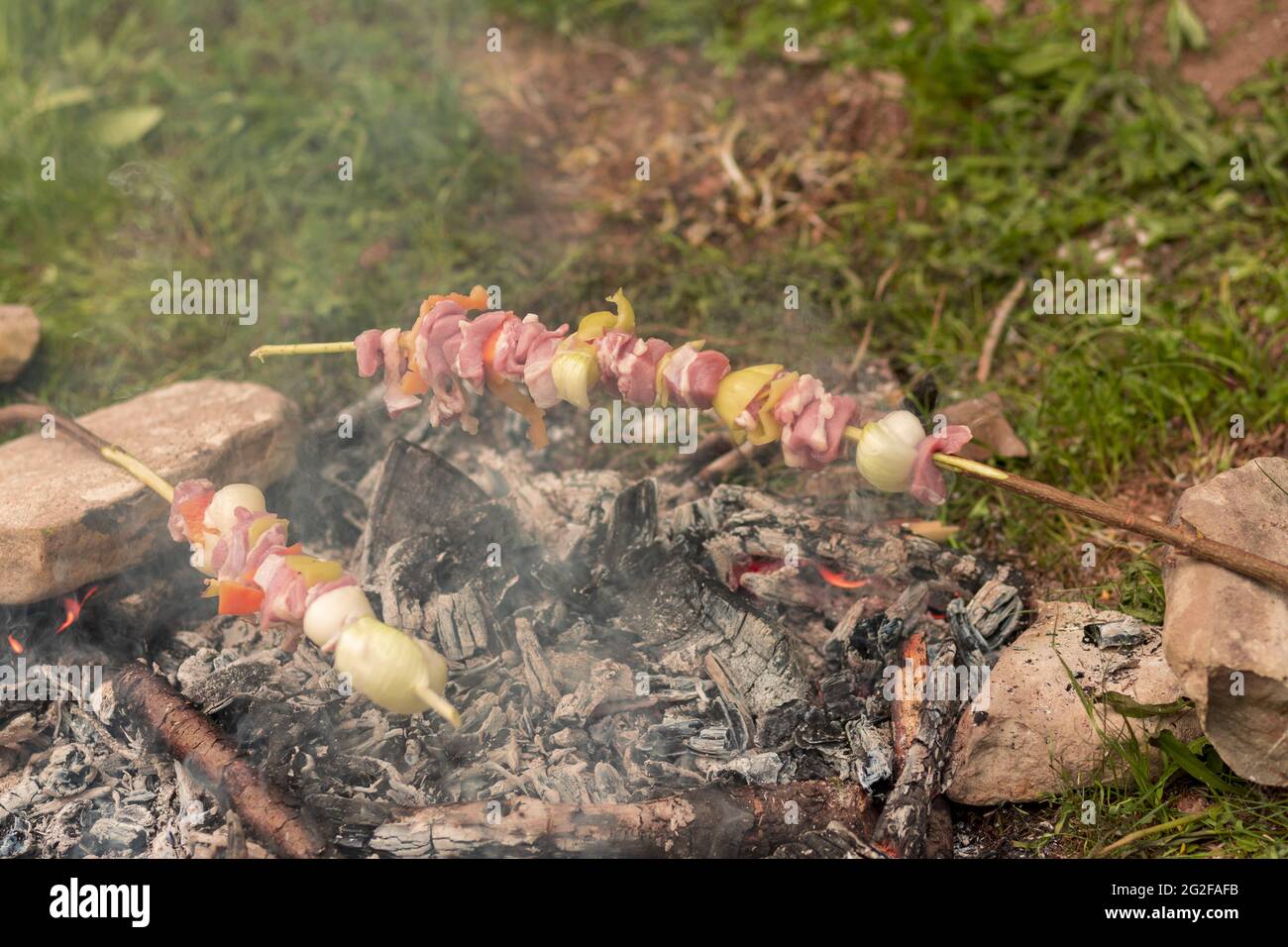 Barbeque in nature hi-res stock photography and images - Alamy