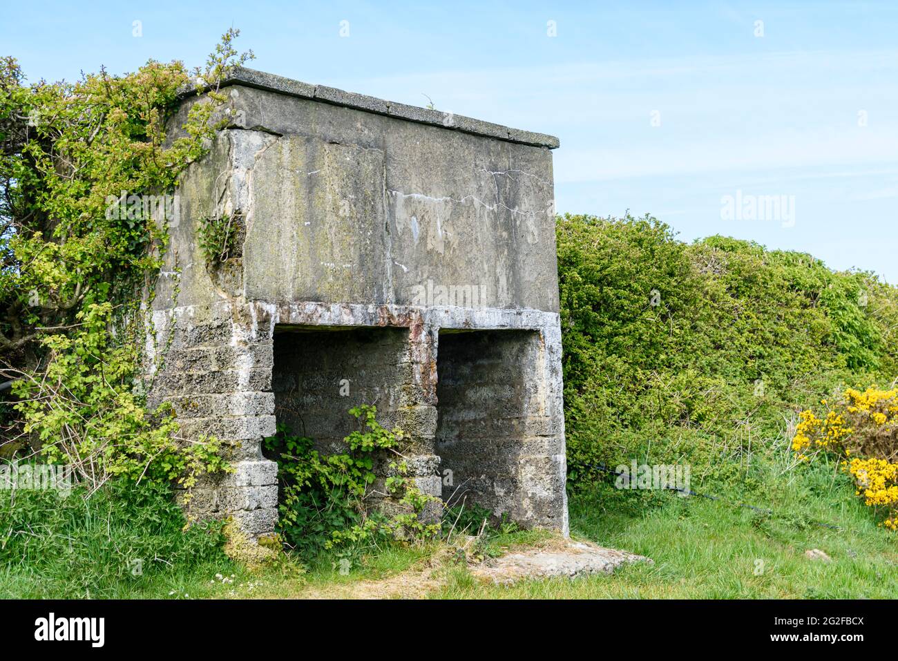Concrete water storage tank against a hedge in a field, used to supply ...