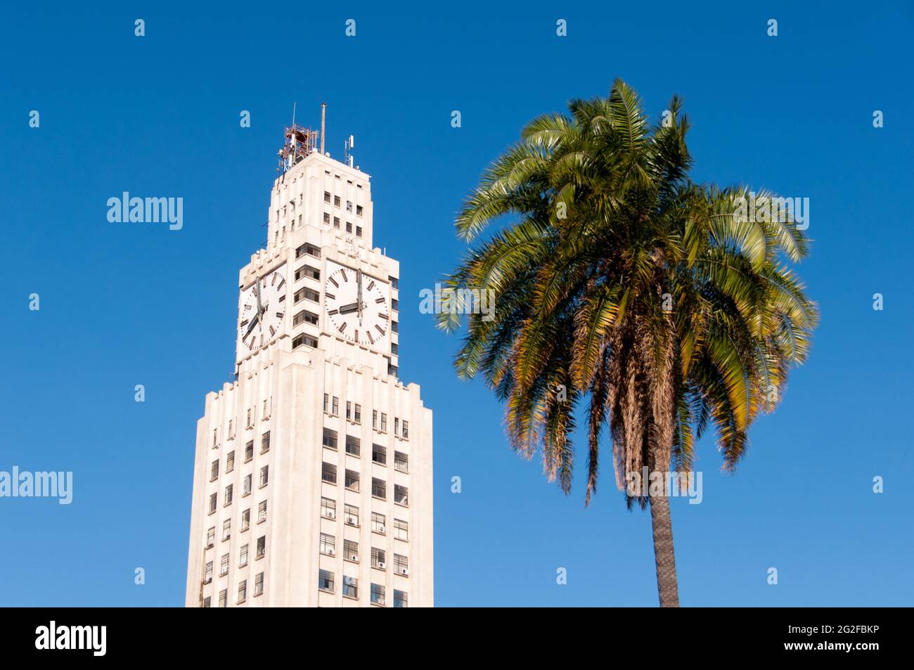 Clock Tower of Rio de Janeiro Central Station and Palm Tree Stock Photo ...