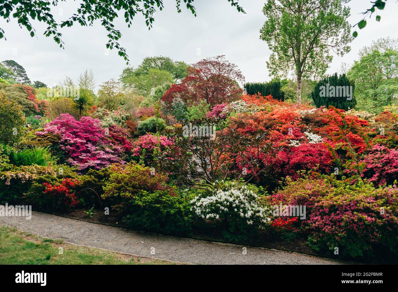 Beautiful Garden with blooming trees during spring time Stock Photo - Alamy
