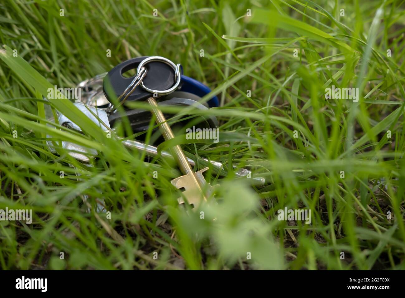 Keys and a keychain, lost, lie in the grass. Bottom view Stock Photo ...