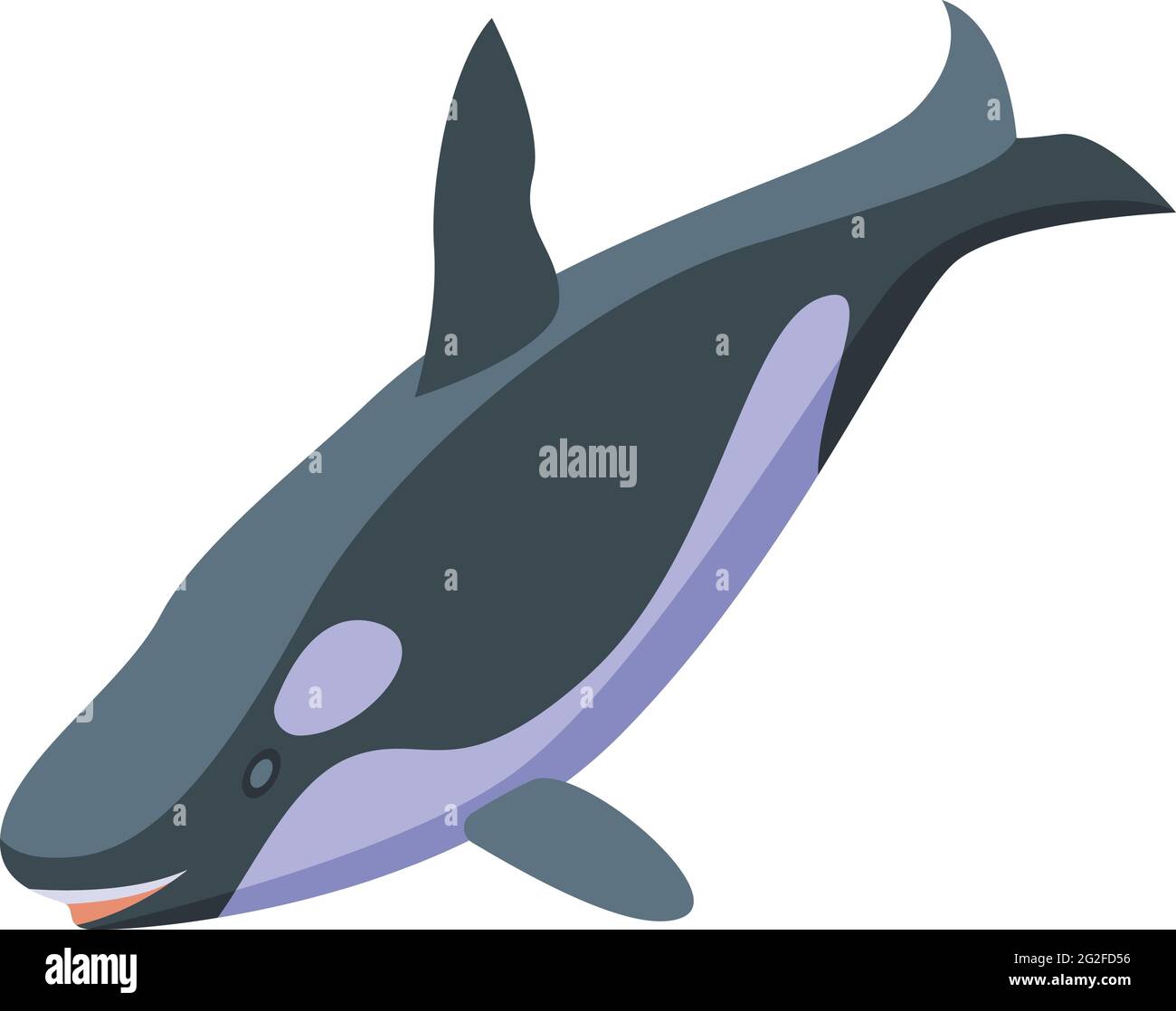 Hungry killer whale icon. Isometric of Hungry killer whale vector icon ...