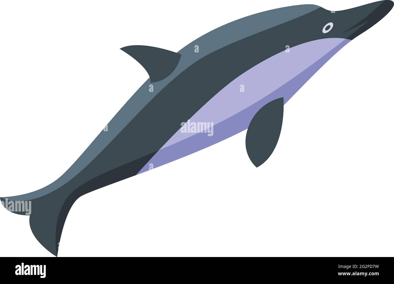 Ocean dolphin icon. Isometric of Ocean dolphin vector icon for web ...