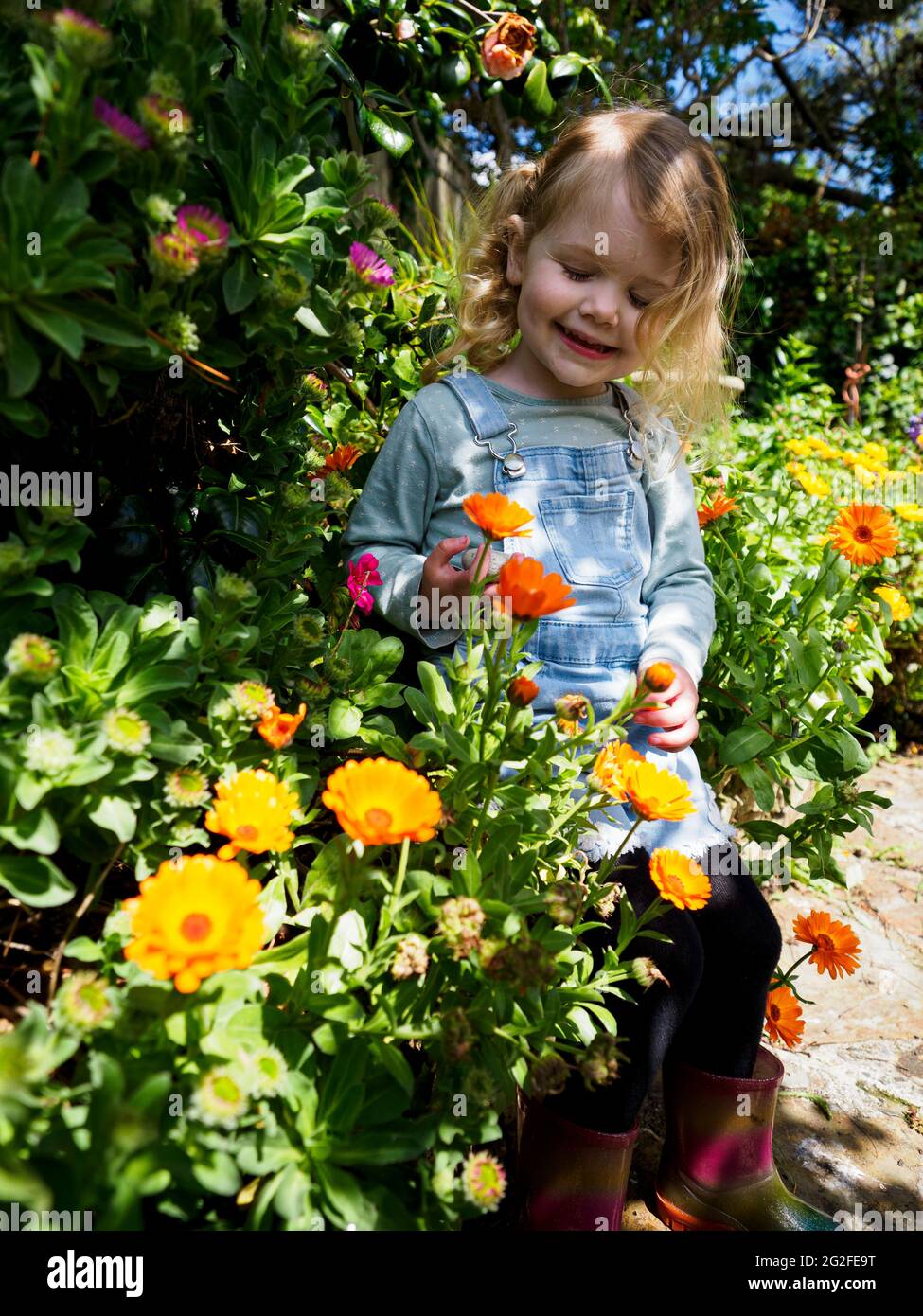 Happy young girl amongst the flowers, Devon, UK Stock Photo - Alamy