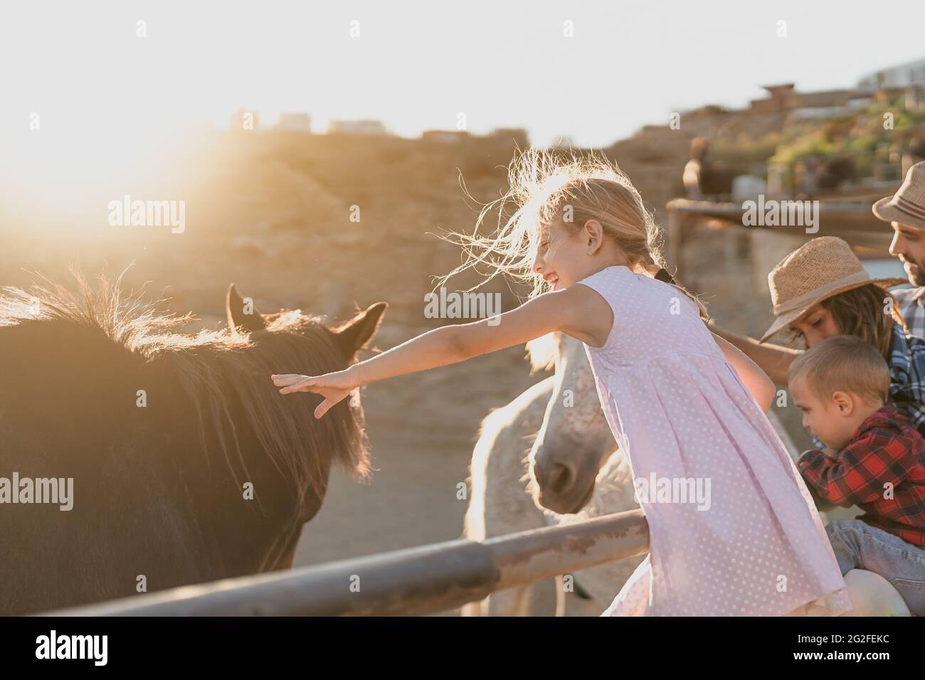 Happy family having fun with horses inside corral ranch Stock Photo - Alamy