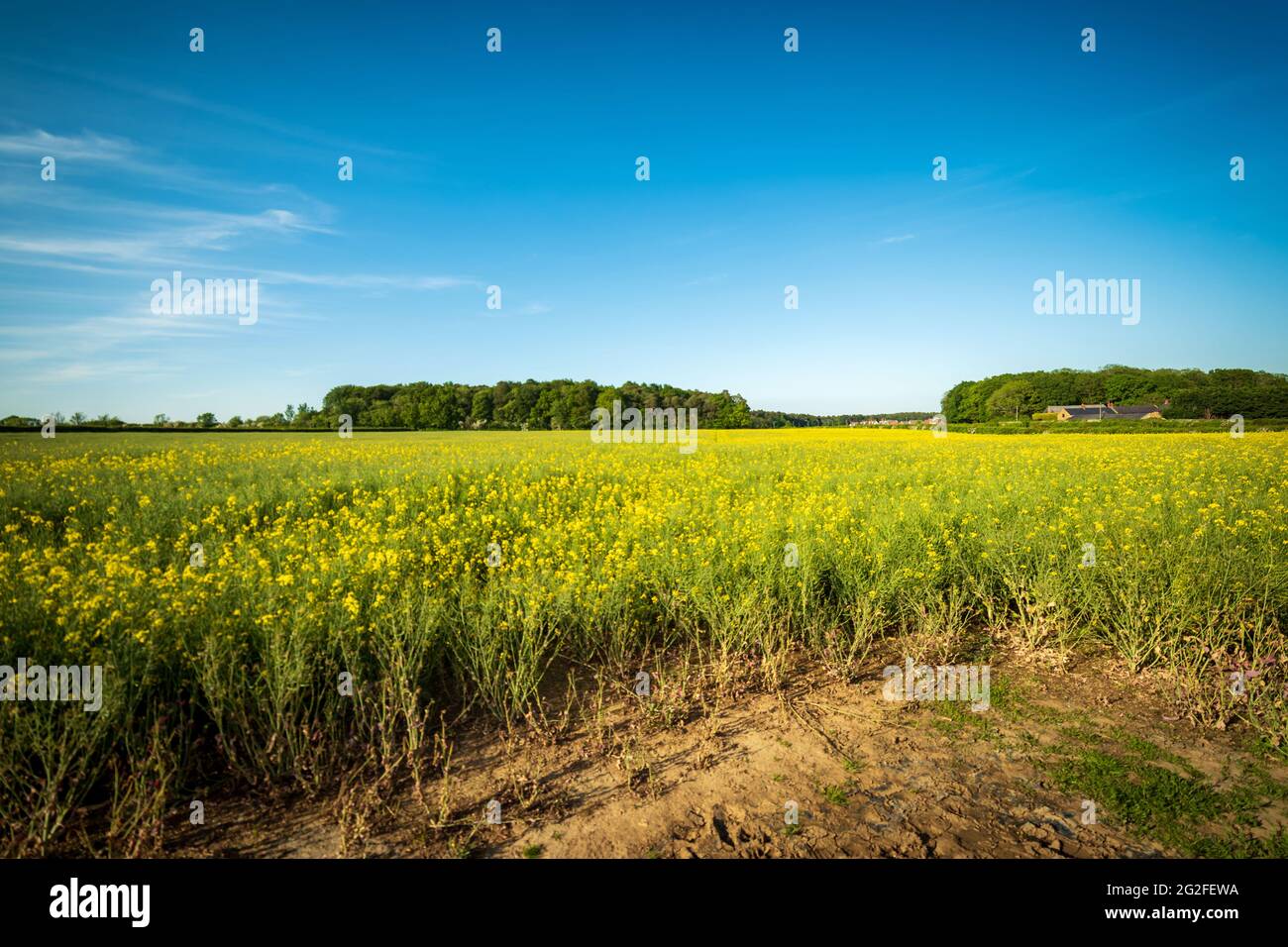 England village nature wallpaper hi-res stock photography and images ...