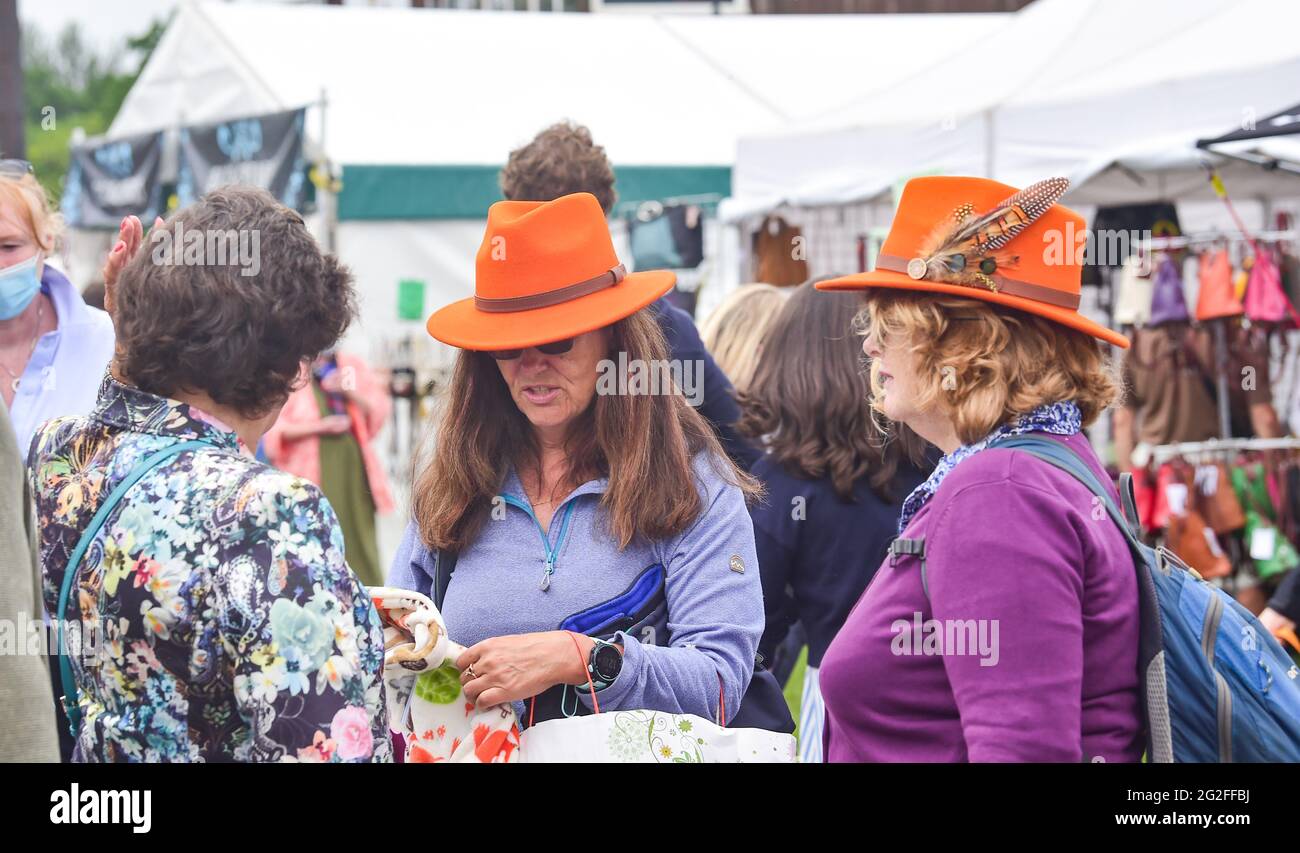 Ardingly Sussex UK 11th June 2021 - Crowds enjoy the sunshine on the ...