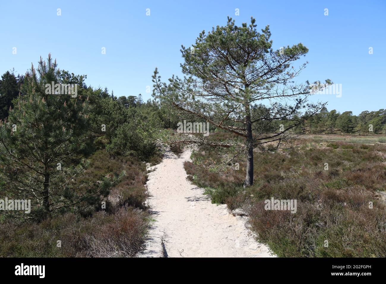 Trail through large meadow hi-res stock photography and images - Alamy