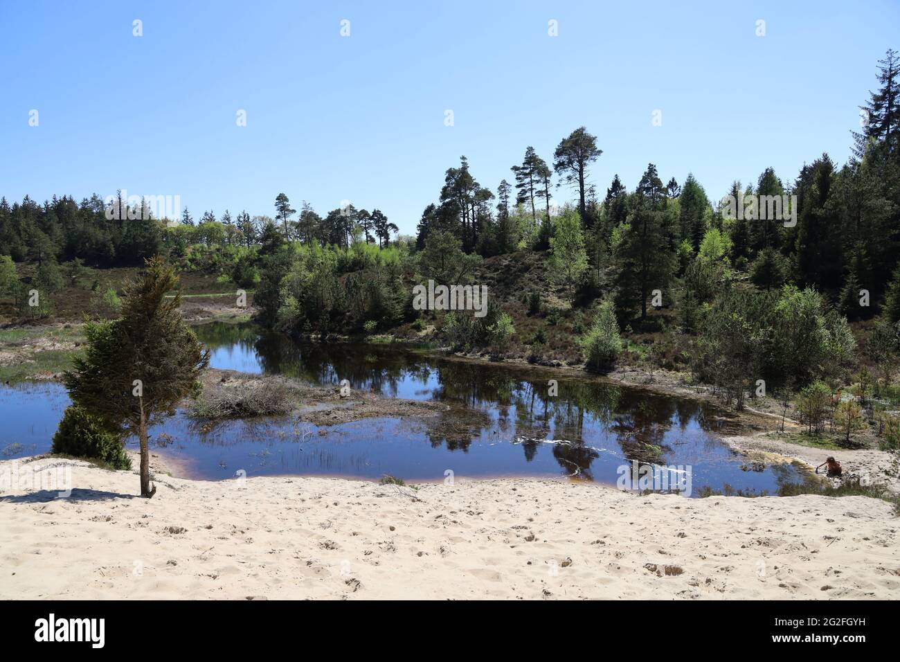Seven Years' Lakes on a protected natural area in Randboldal, Denmark ...
