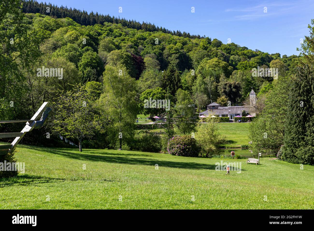 Devon,Devon landscape,Teign valley Devon,Teign valley, woodland,woods ...