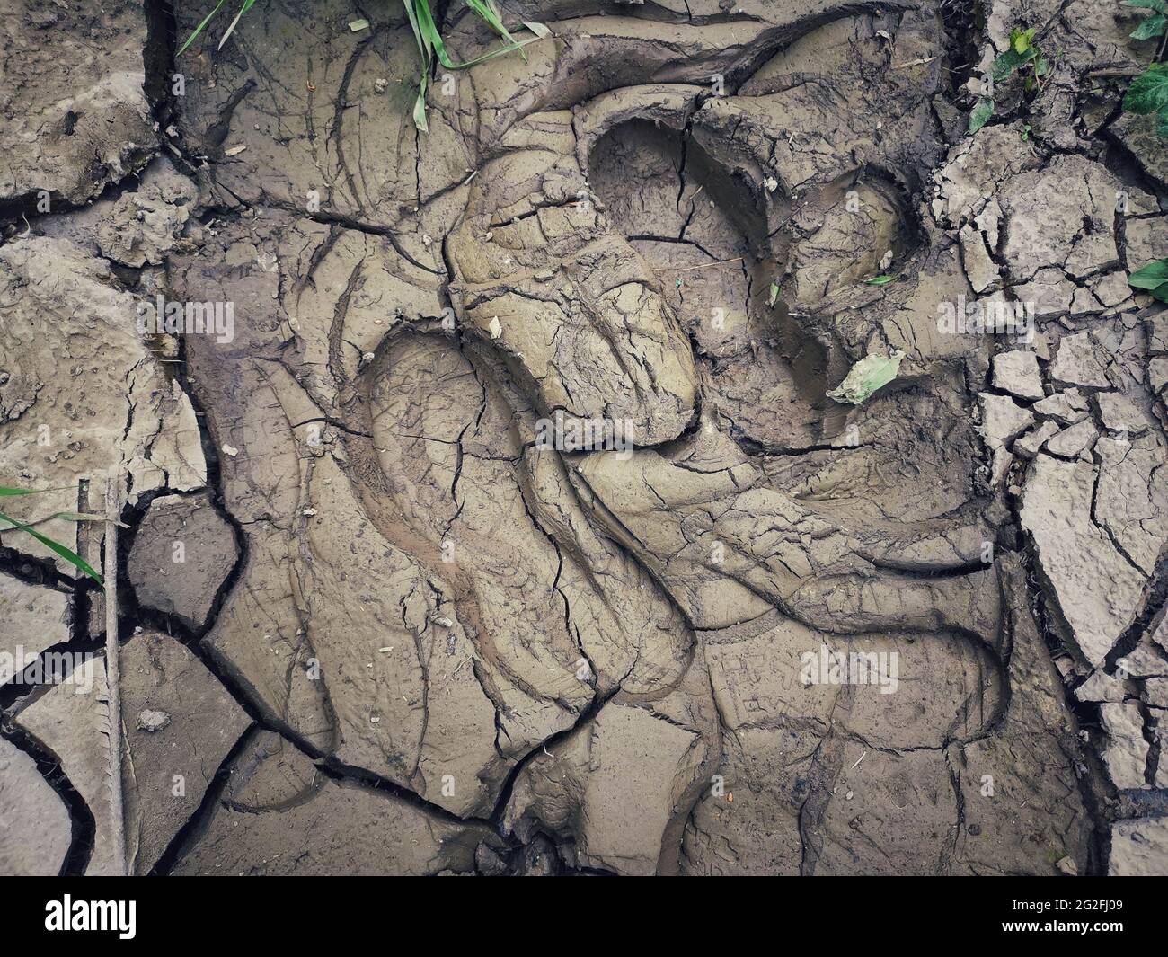 Boot print in mud hi-res stock photography and images - Alamy