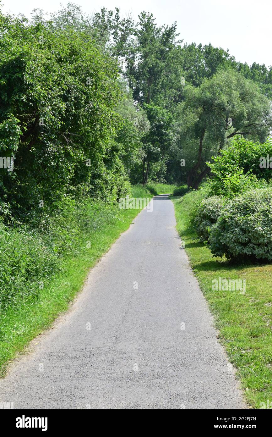waterfront path at the Rhine Stock Photo - Alamy