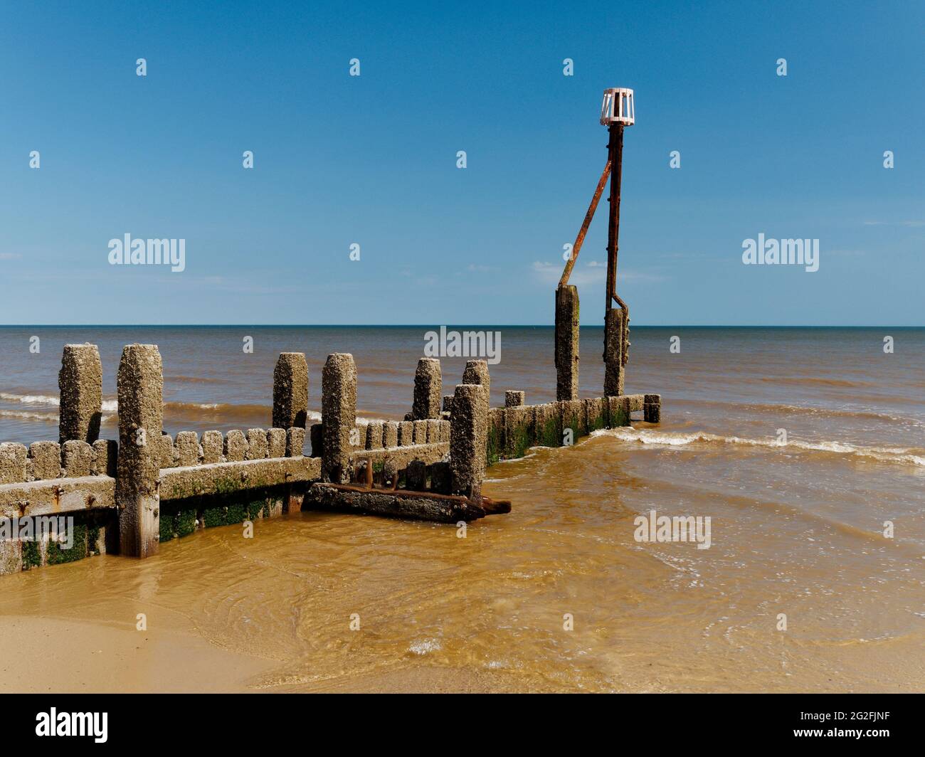 Barnacle encrusted groynes rise from the yellow sands of Mundesley ...