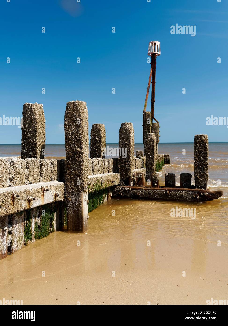 Barnacle encrusted groynes rise from the yellow sands of Mundesley ...