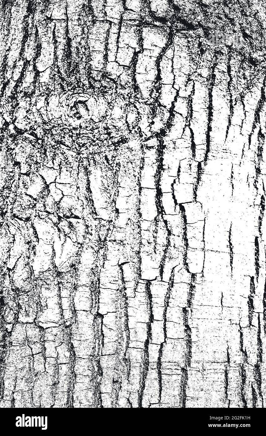 Distressed overlay wooden bark texture, grunge background. abstract ...