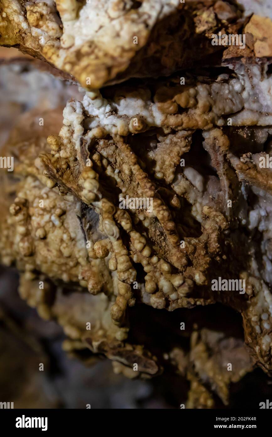 Cave popcorn formations in Wind Cave, Wind Cave National Park, South ...