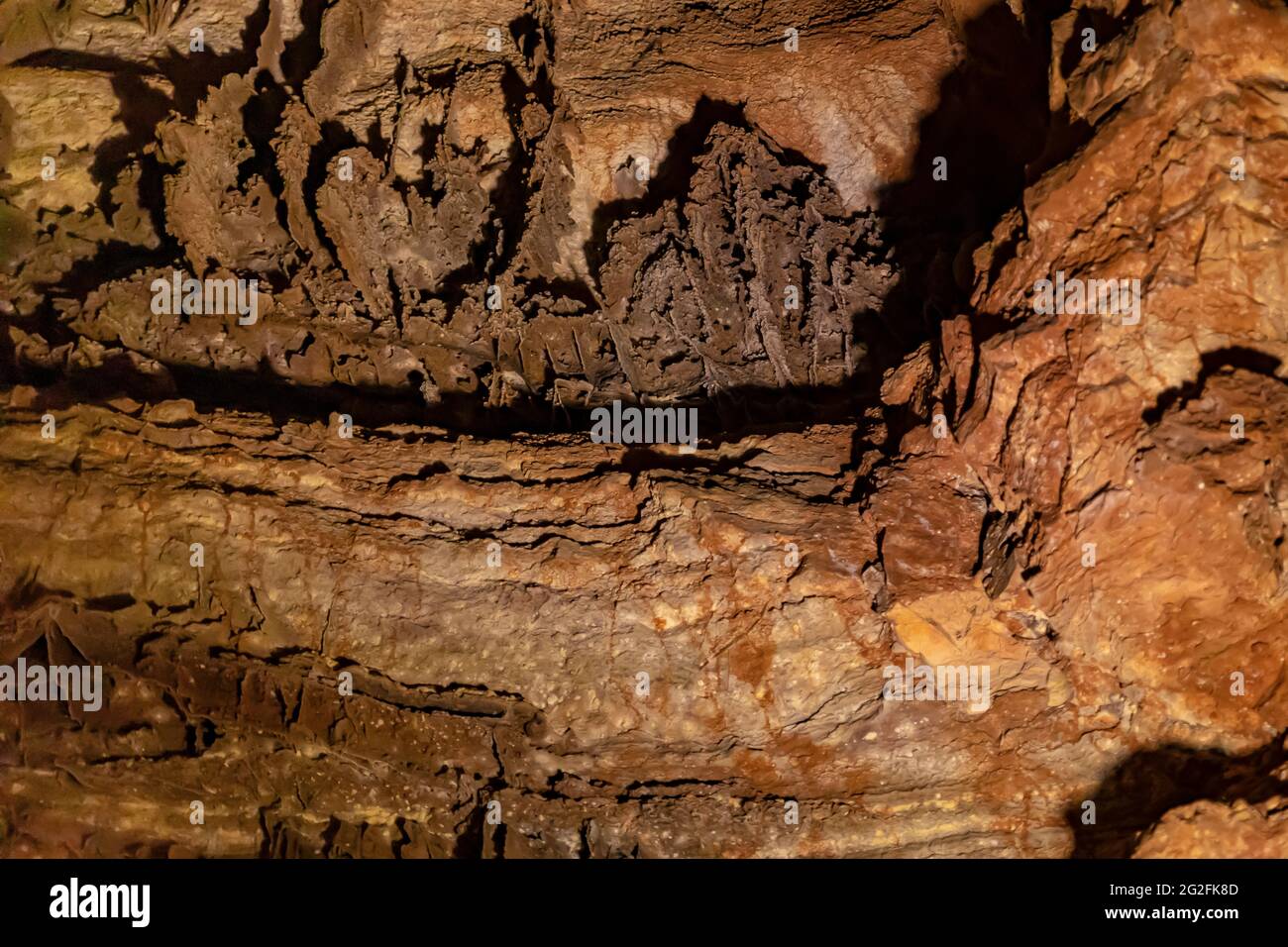 Cave formations in the passages of Wind Cave, Wind Cave National Park ...