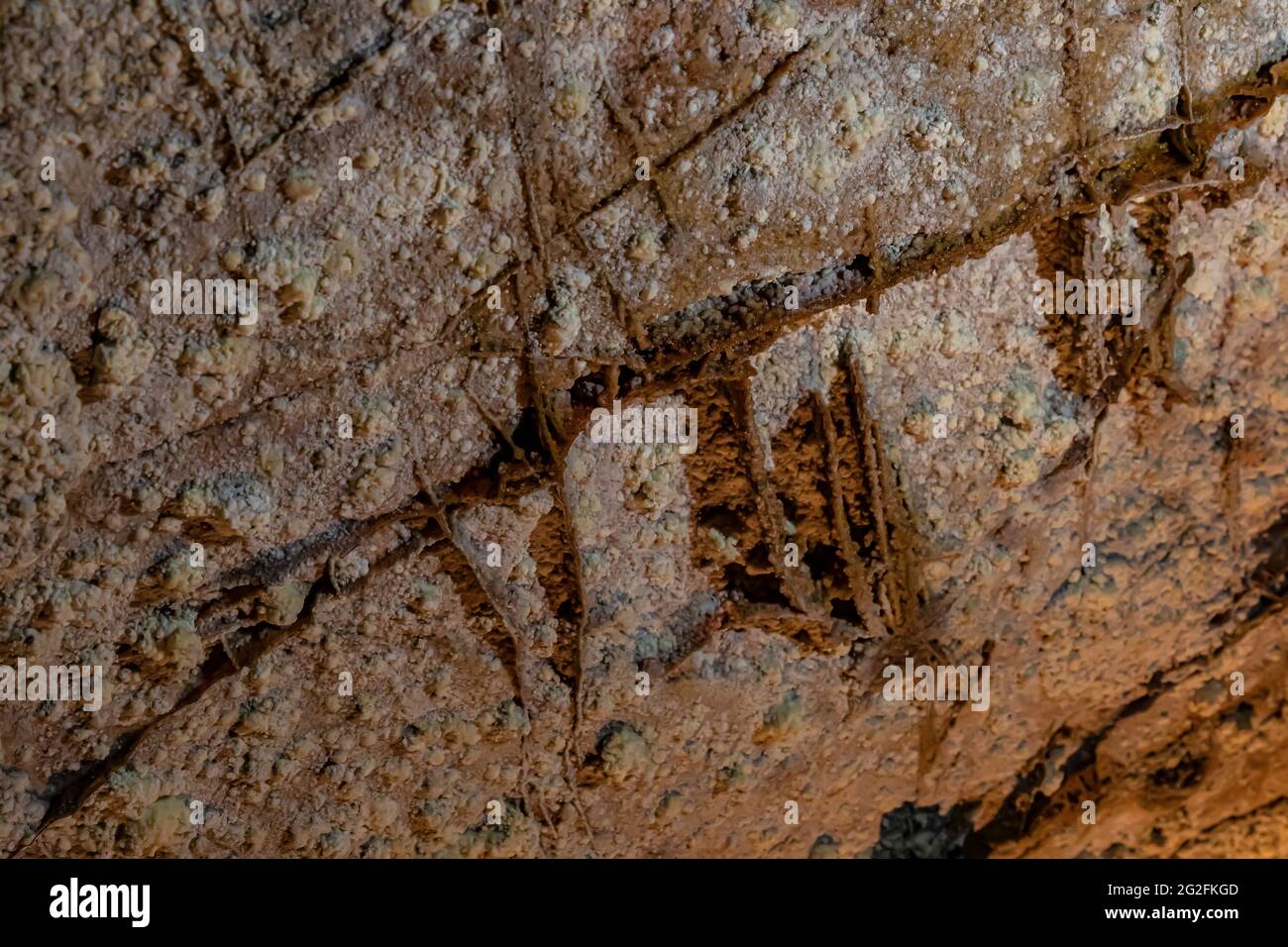 Intricate boxwork in Wind Cave, a cave formation found here more than ...