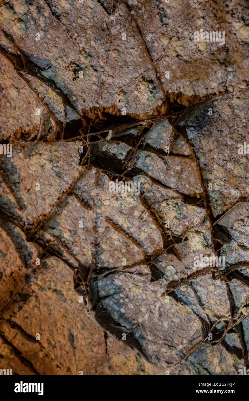 Intricate boxwork in Wind Cave, a cave formation found here more than ...