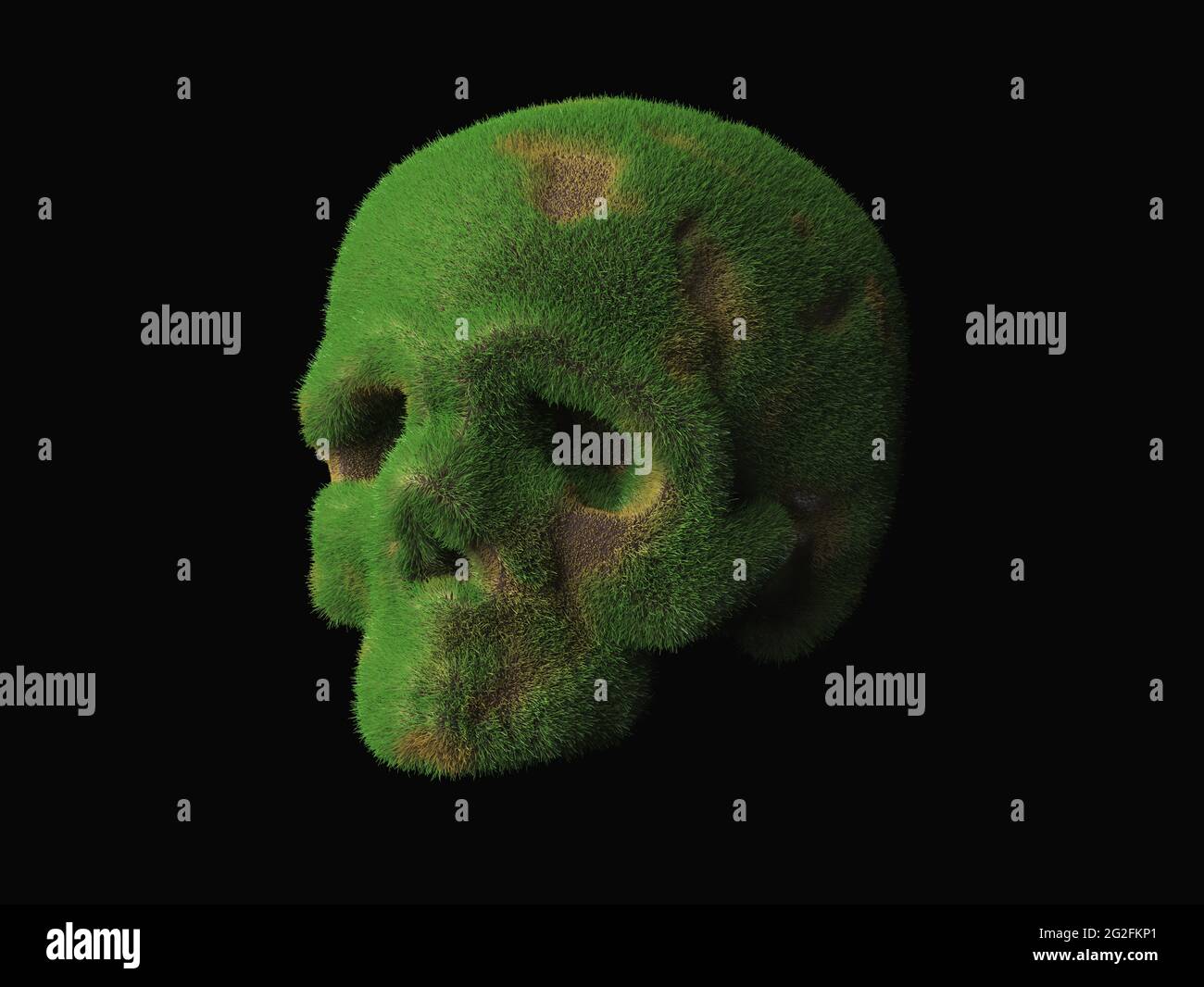 an old abandoned skull overgrown with grass with patches of brown earth ...