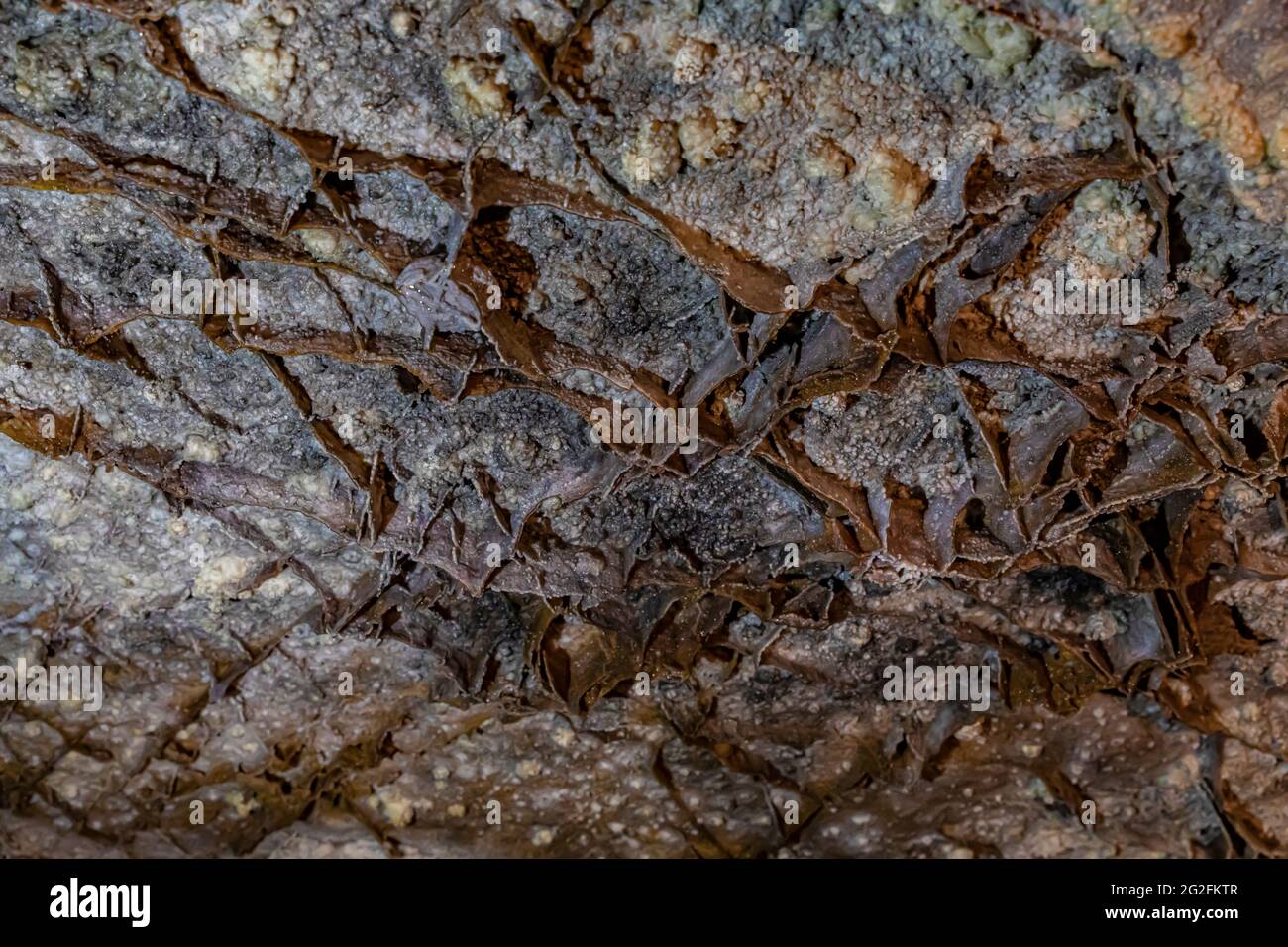 Boxwork formations wind cave national park south hi-res stock ...