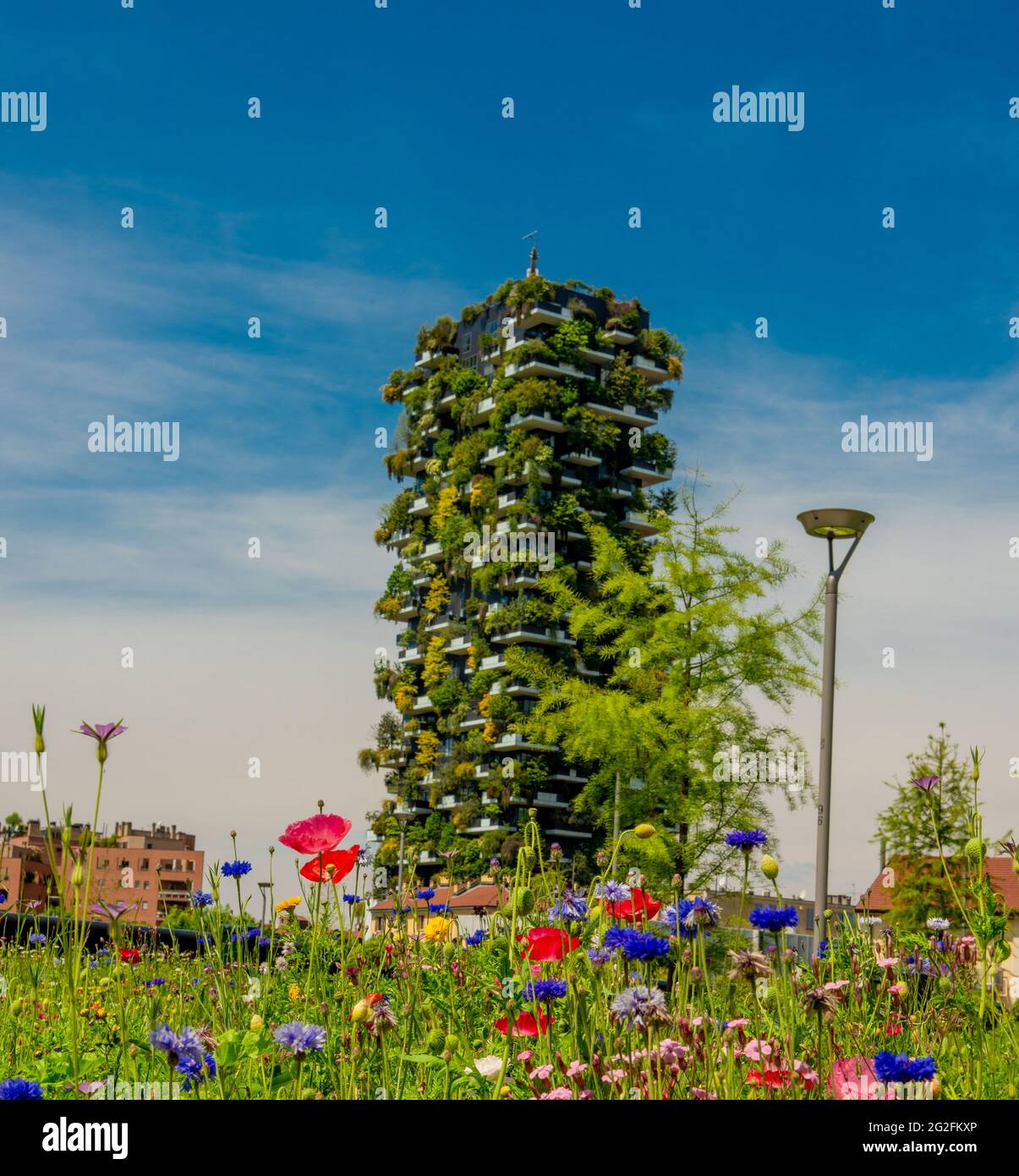 milan italy 4 may 2021: Skyscrapers with woods on the terraces to ...