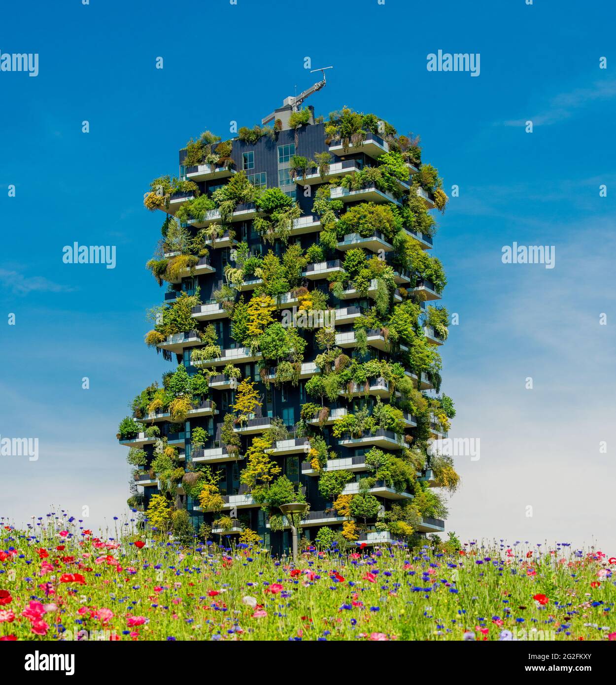 milan italy 4 may 2021: Skyscrapers with woods on the terraces to ...