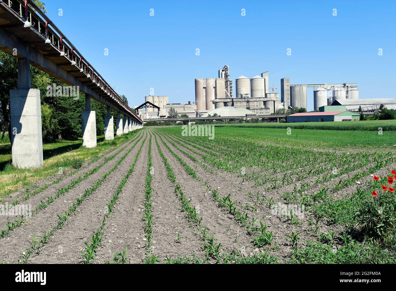 Field of corn cement hi-res stock photography and images - Alamy