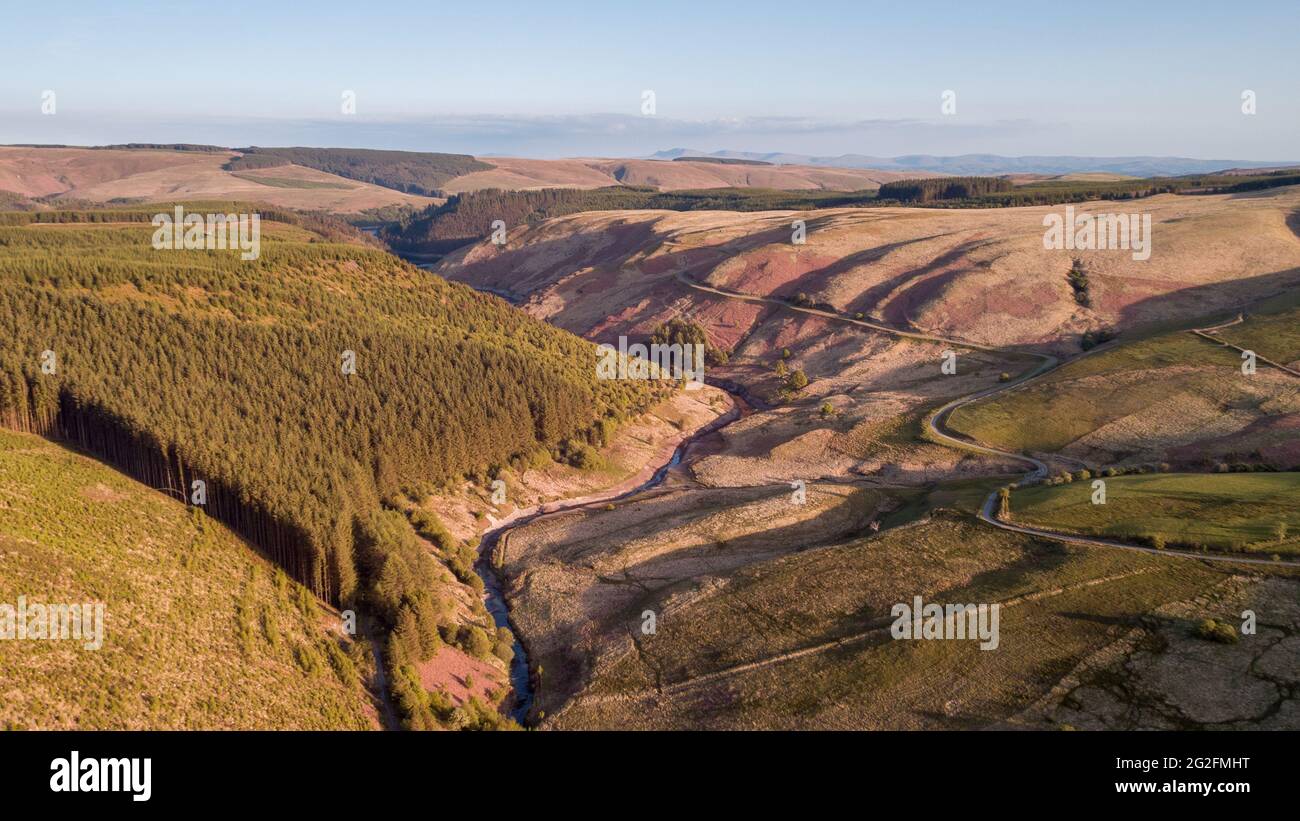 Aerial view of non-native forestry plantations around Llyn Brianne ...