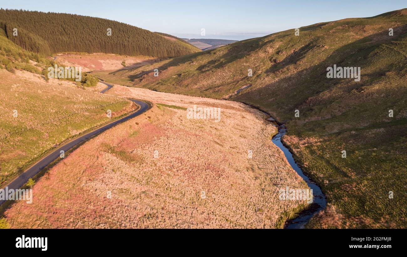 Aerial view of non-native forestry plantations around Llyn Brianne ...