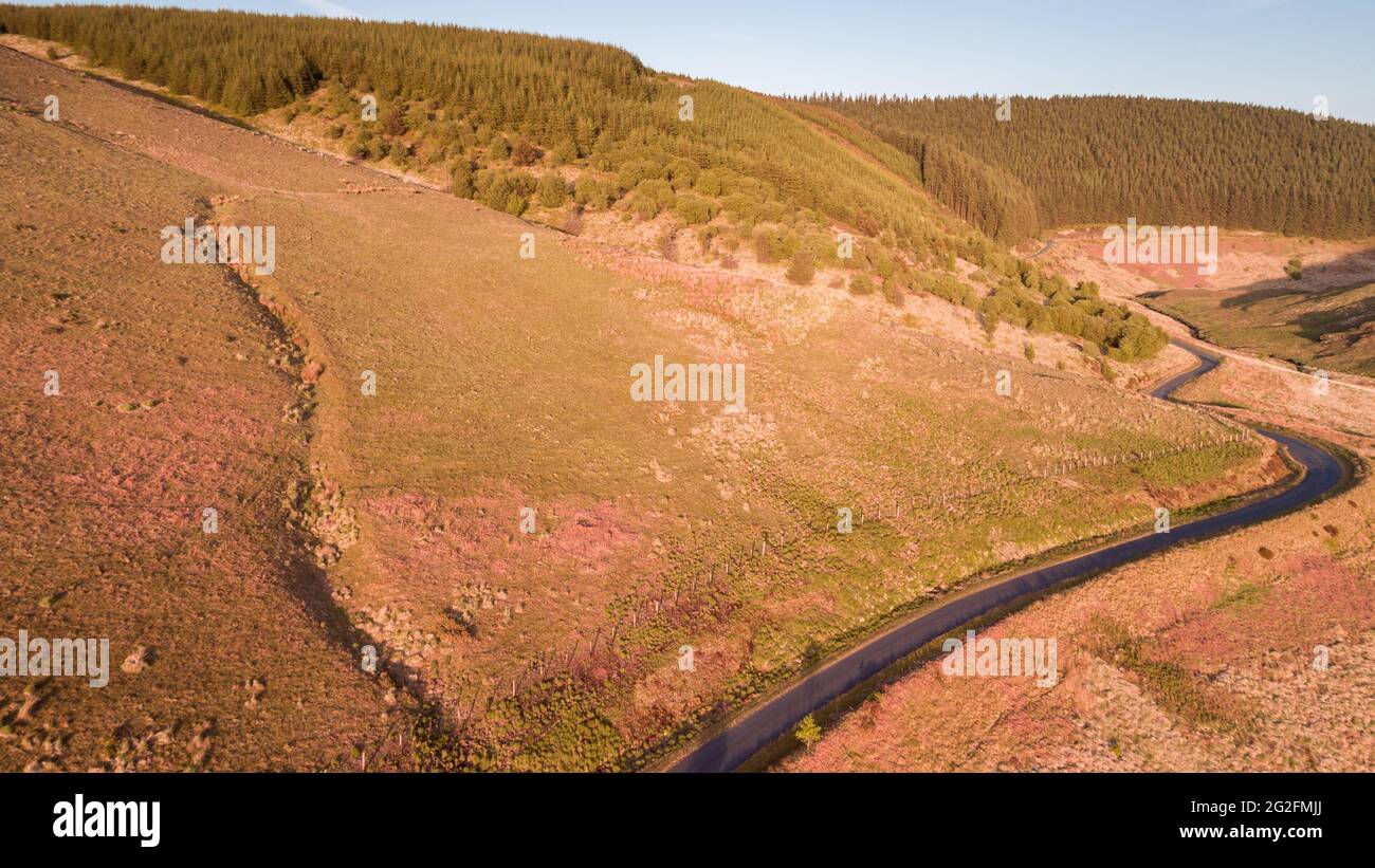Aerial view of non-native forestry plantations around Llyn Brianne ...