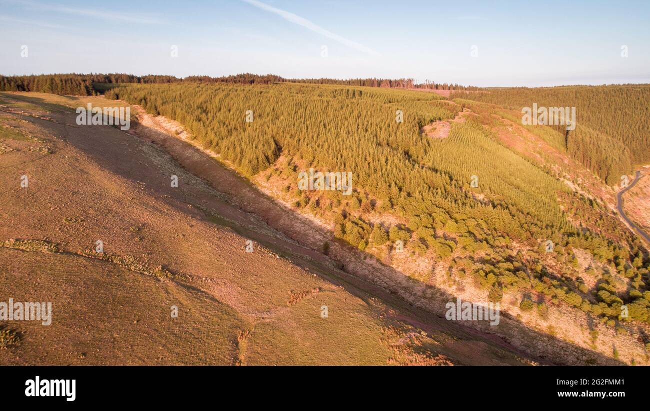 Aerial view of non-native forestry plantations around Llyn Brianne ...