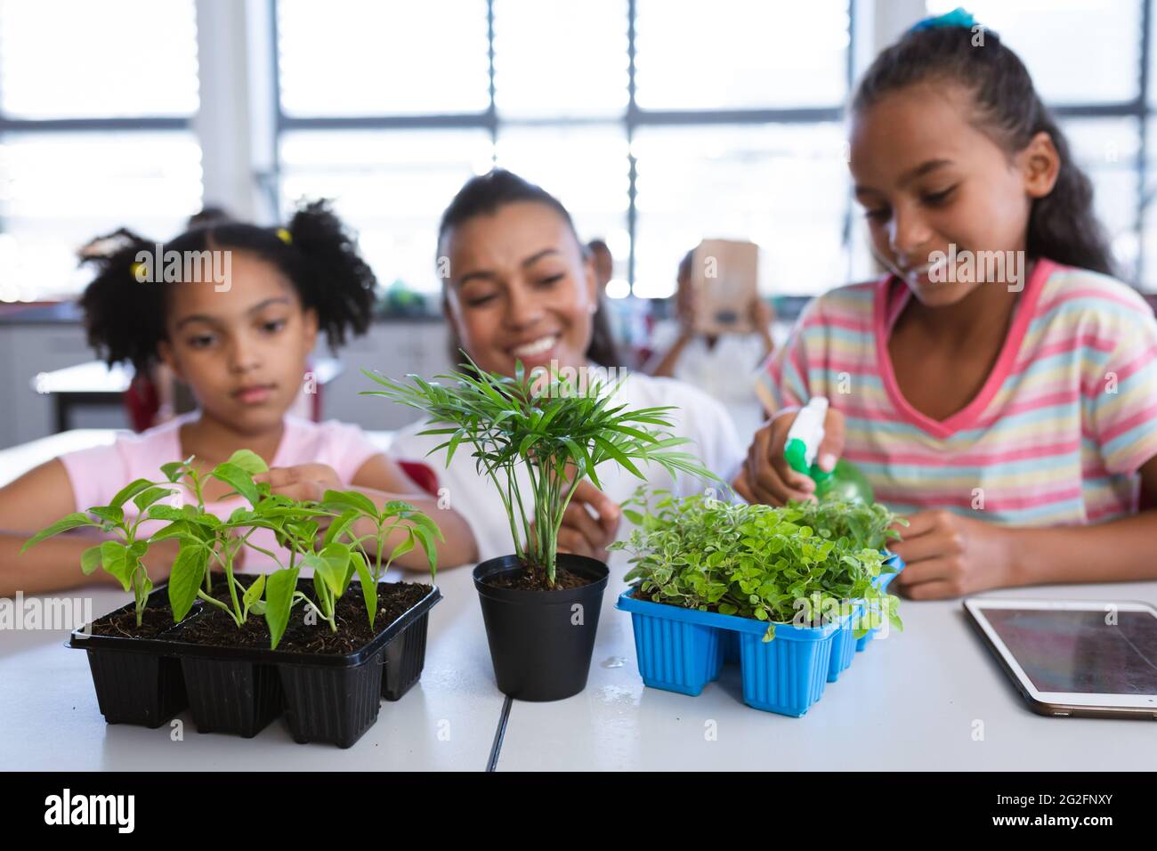 Two girls studying plants hi-res stock photography and images - Alamy