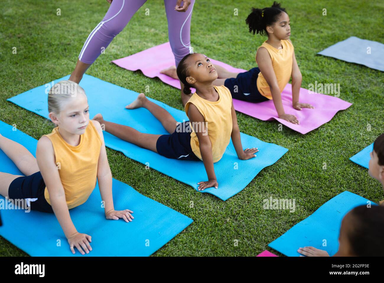 Group of diverse students performing stretching exercise in the garden ...