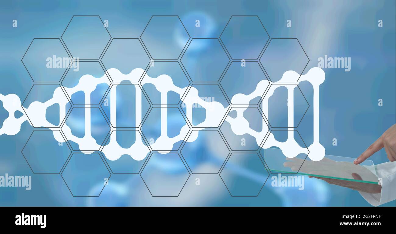 Composition of dna strand and network of hexagons over doctor using ...