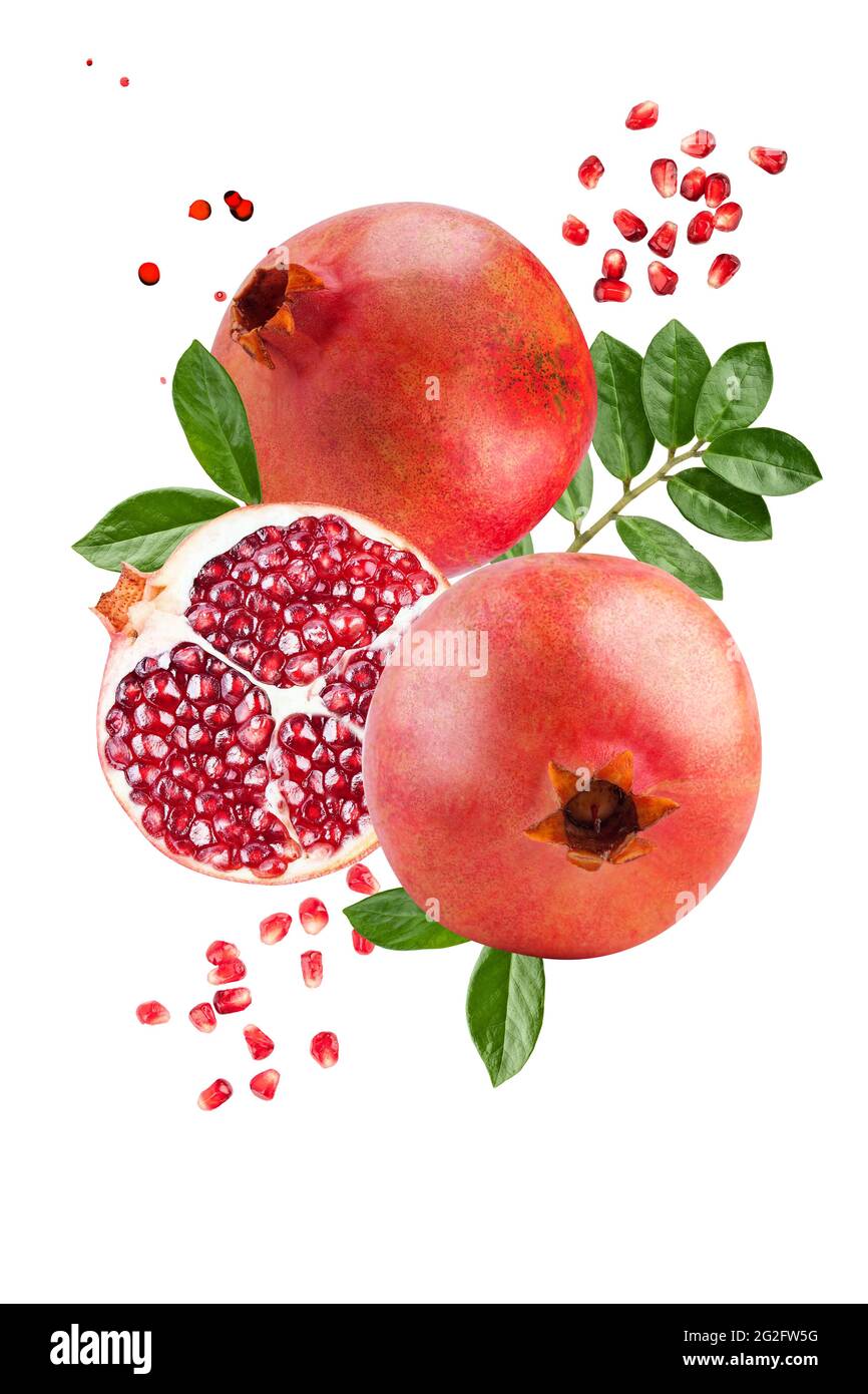 Ripe pomegranates levitate on a white background. Background with ...