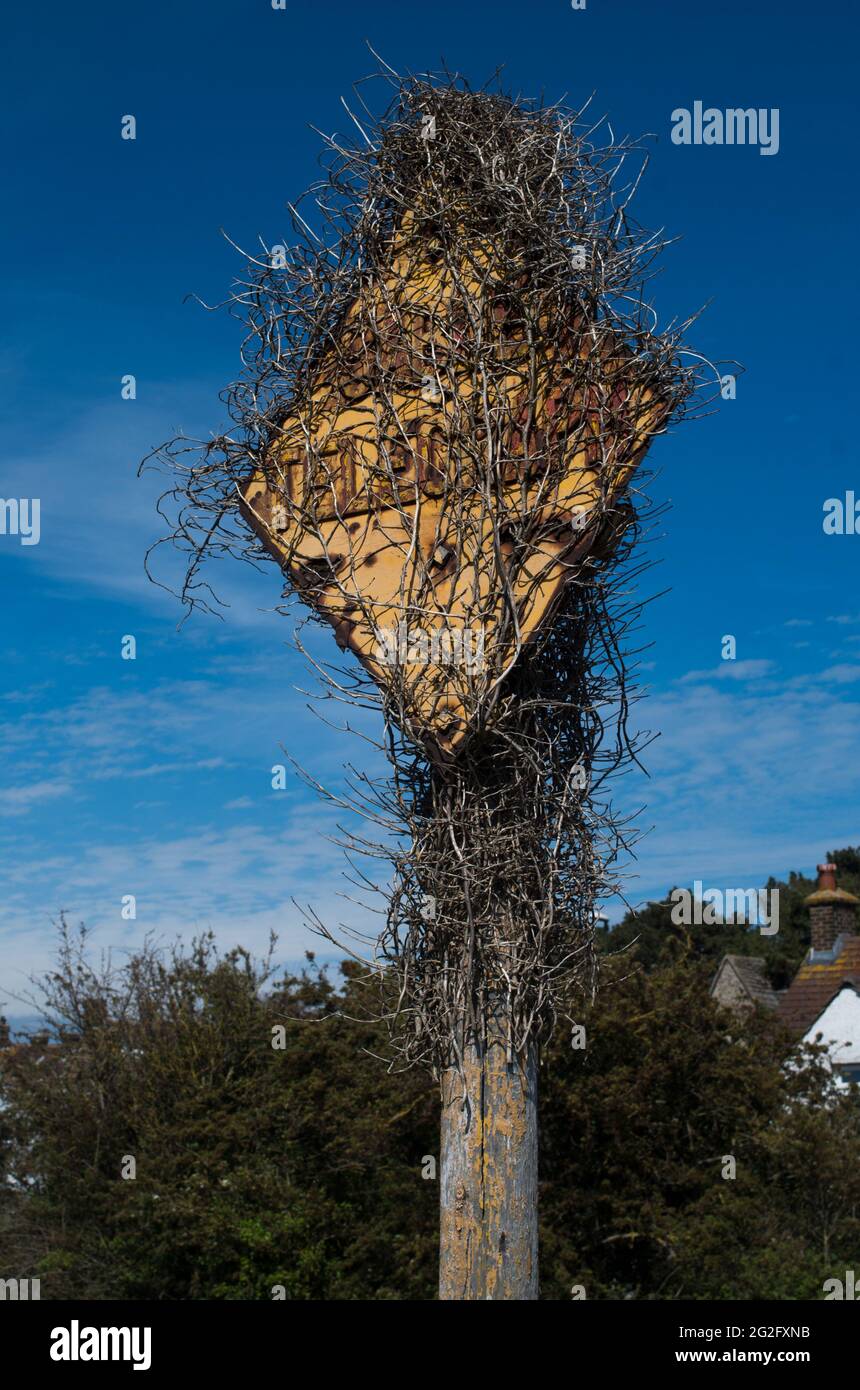 Overgrown sign hi-res stock photography and images - Alamy