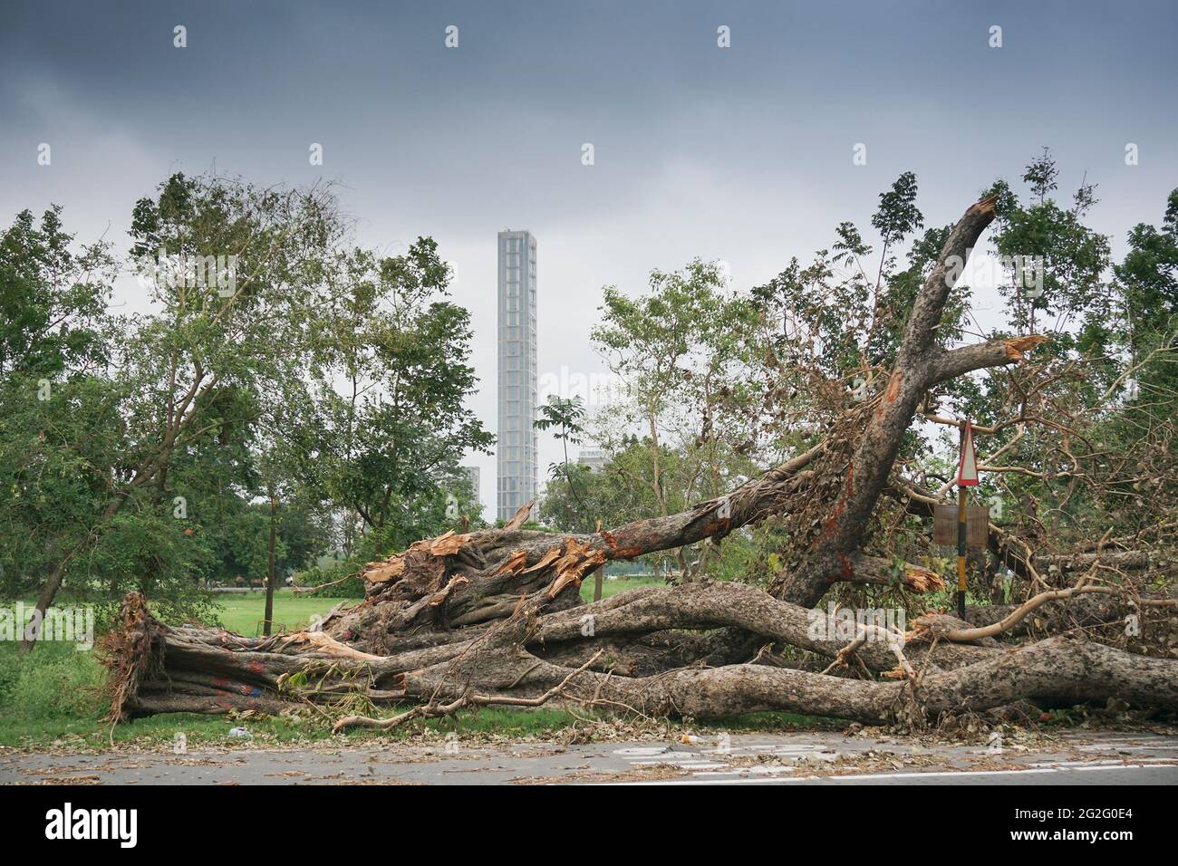 Kolkata, West Bengal, India - 21st May 2020 : Super cyclone Amphan has ...
