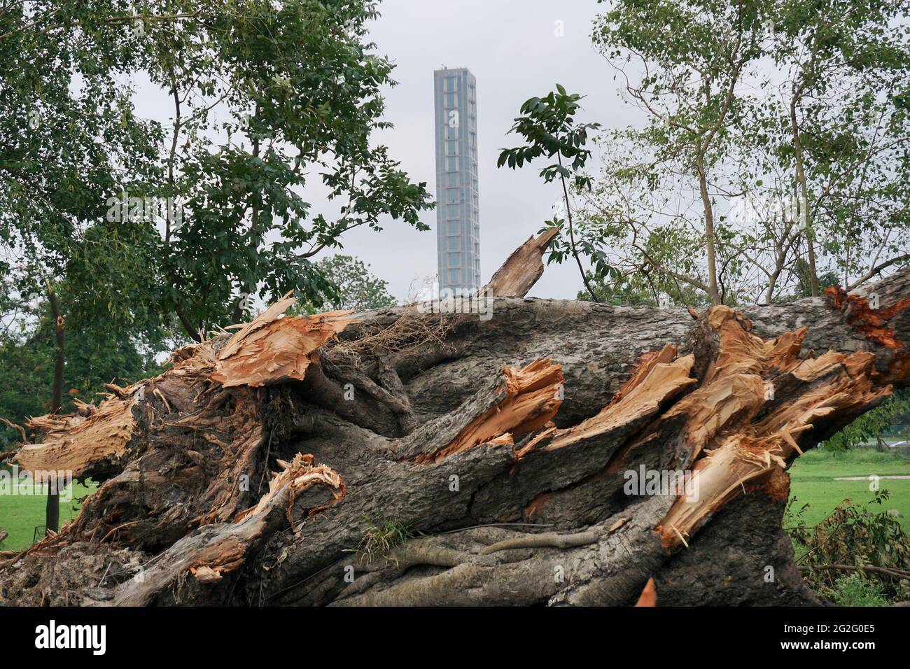 Kolkata, West Bengal, India - 21st May 2020 : Super cyclone Amphan has ...