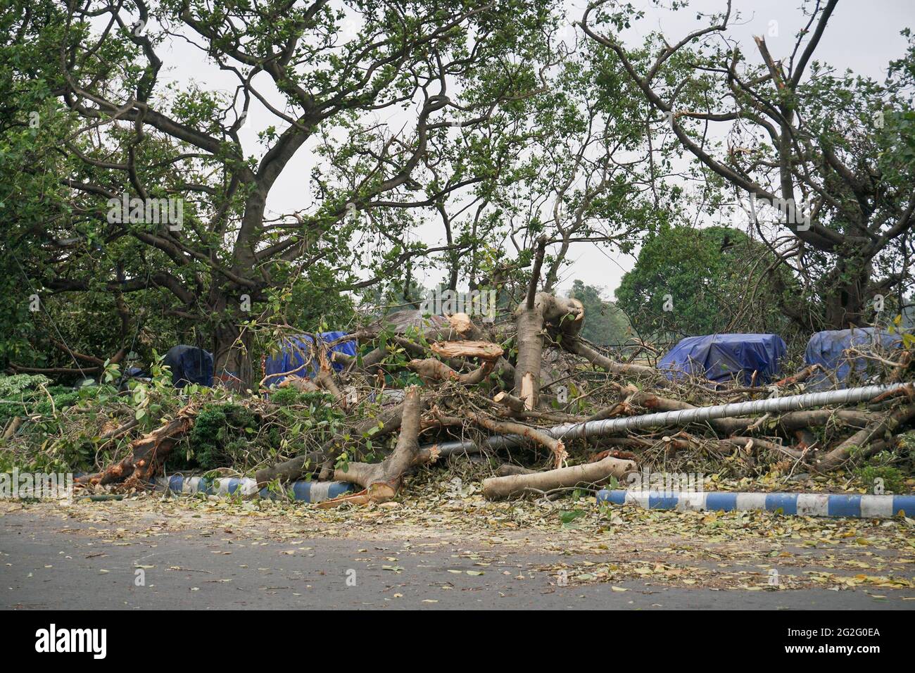 Kolkata, West Bengal, India - 23rd May 2020 : Super cyclone Amphan ...