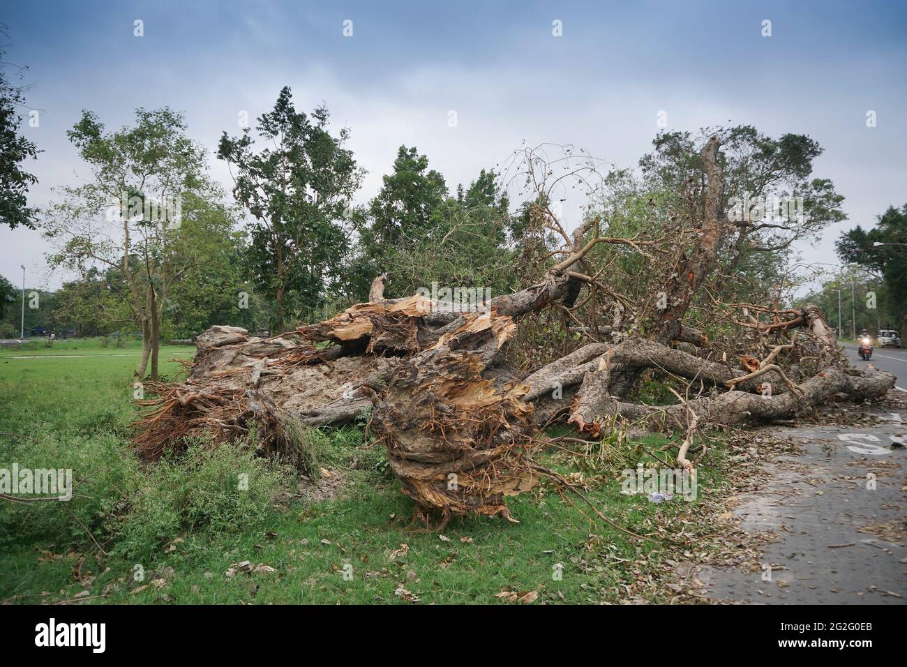Kolkata, West Bengal, India - 23rd May 2020 : Super cyclone Amphan ...