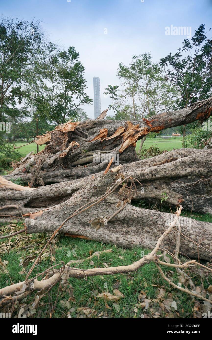 Kolkata, West Bengal, India - 21st May 2020 : Super cyclone Amphan has ...
