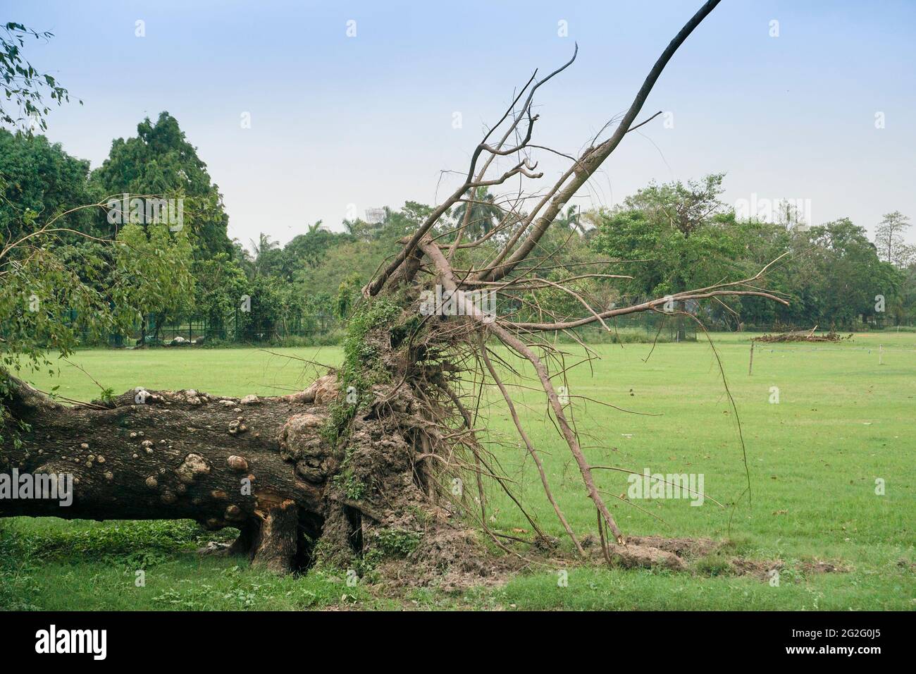 Kolkata, West Bengal, India - 23rd May 2020 : Super cyclone Amphan ...