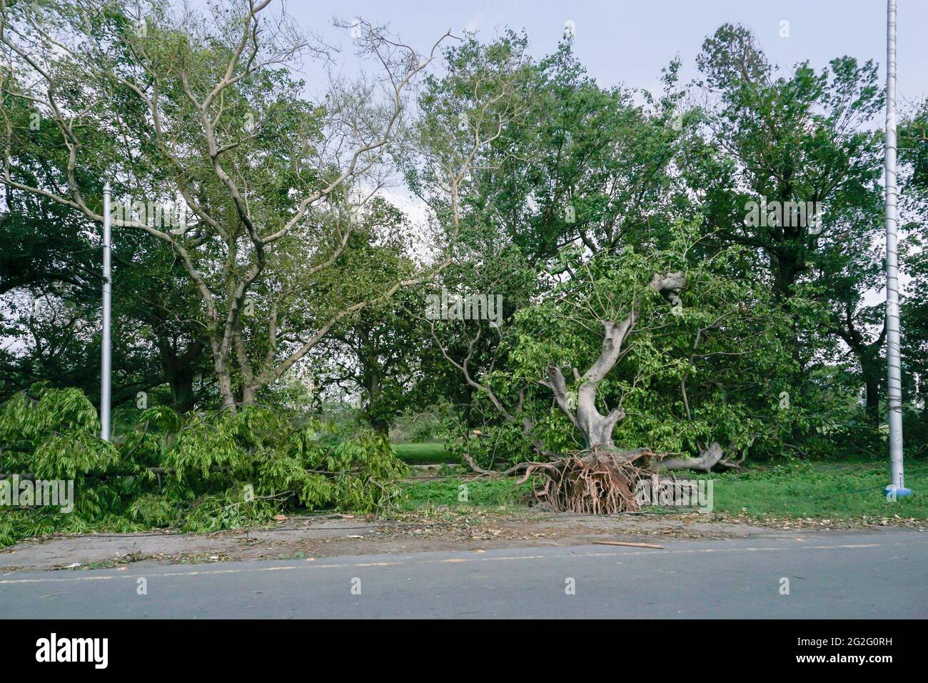 Kolkata, West Bengal, India - 23rd May 2020 : Super cyclone Amphan ...