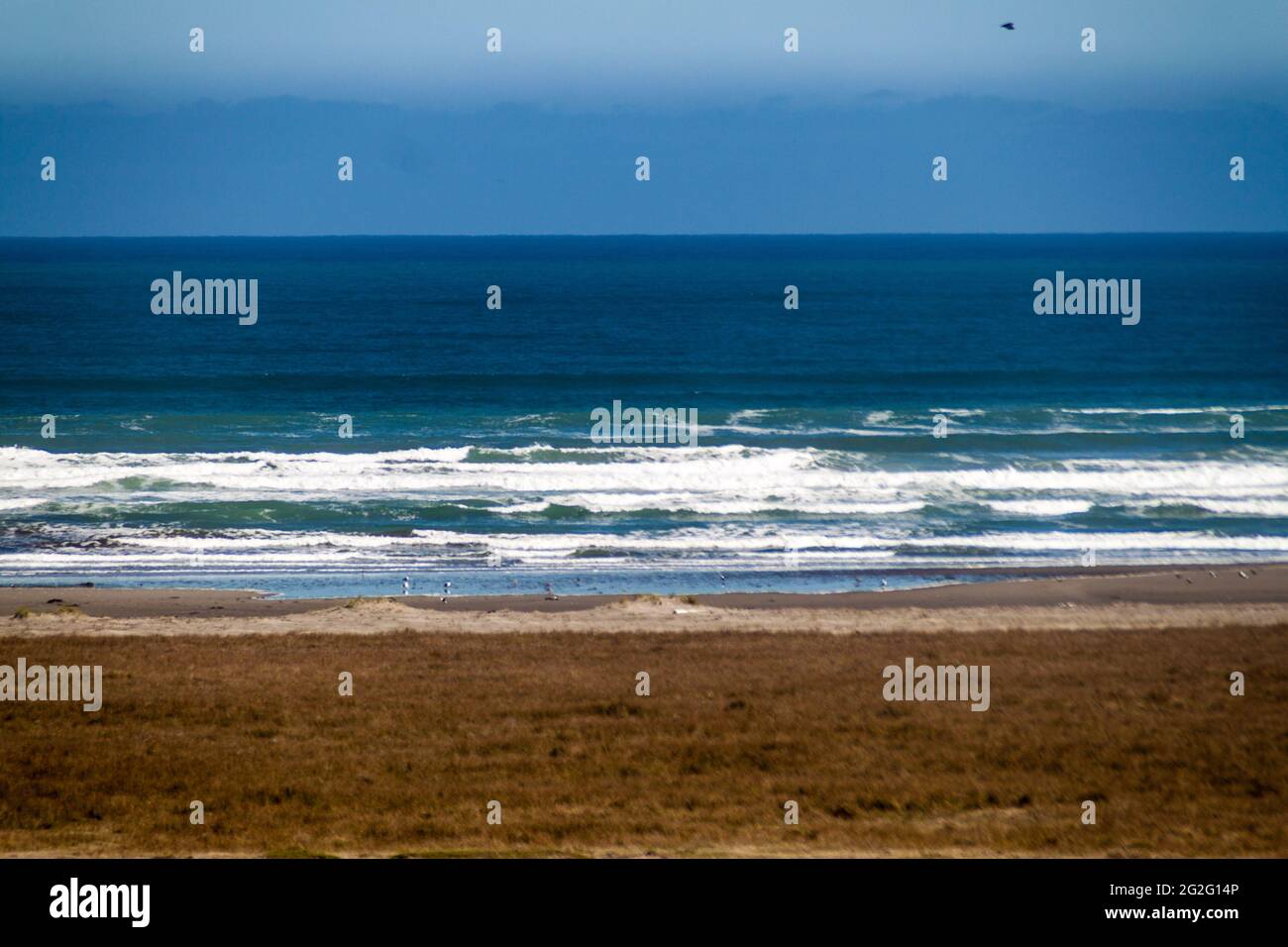 Waves on Pacific Ocean, National Park Chiloe, Chile Stock Photo - Alamy