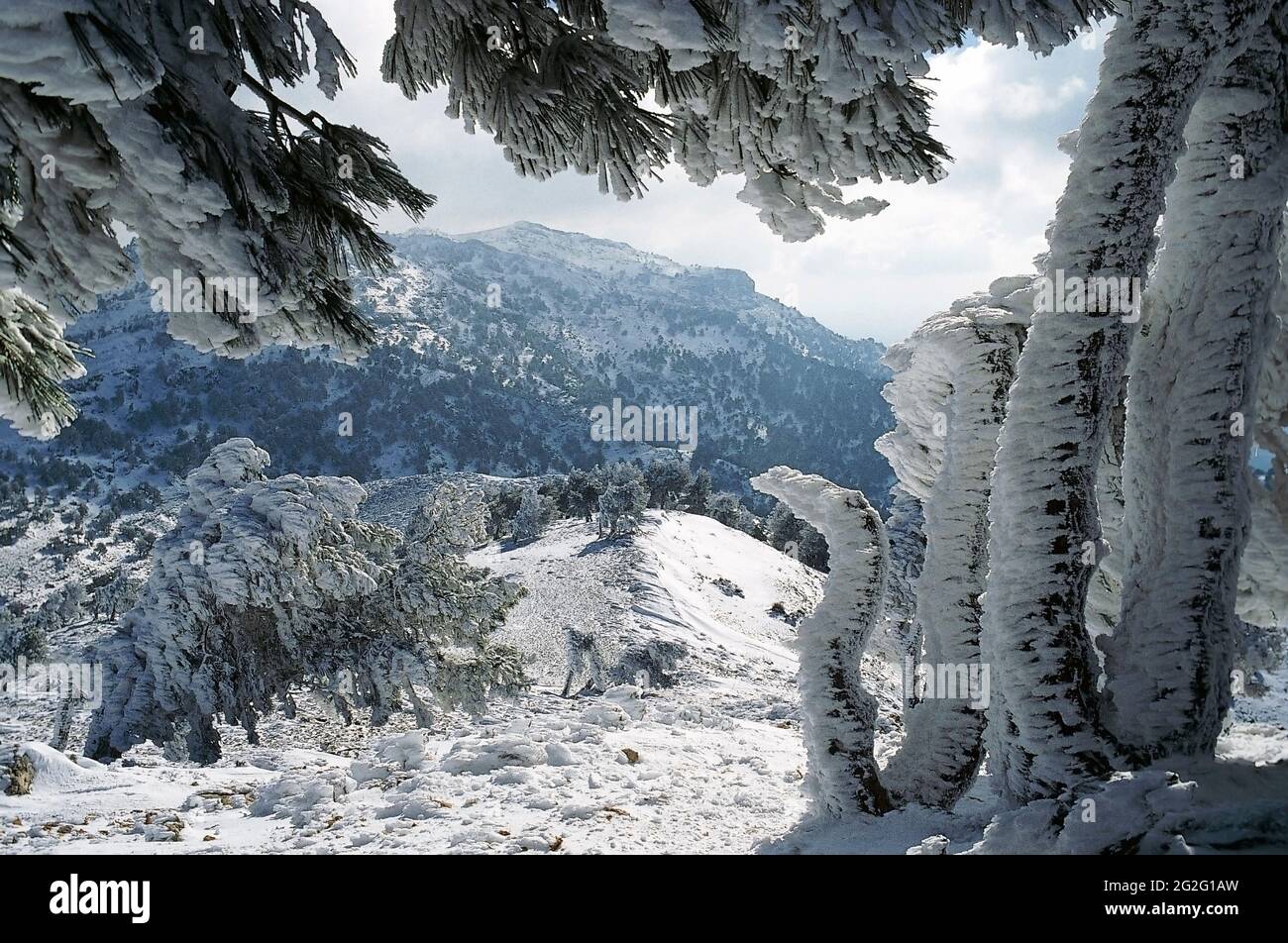 Snowfall in the port of Honduras, Christmas in Extremadura Stock Photo ...