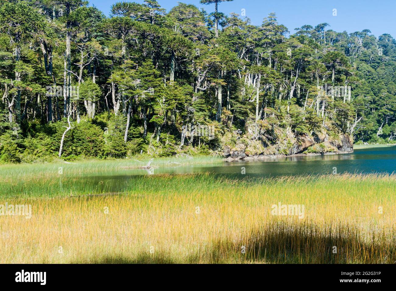 Lago verde chile hi-res stock photography and images - Alamy