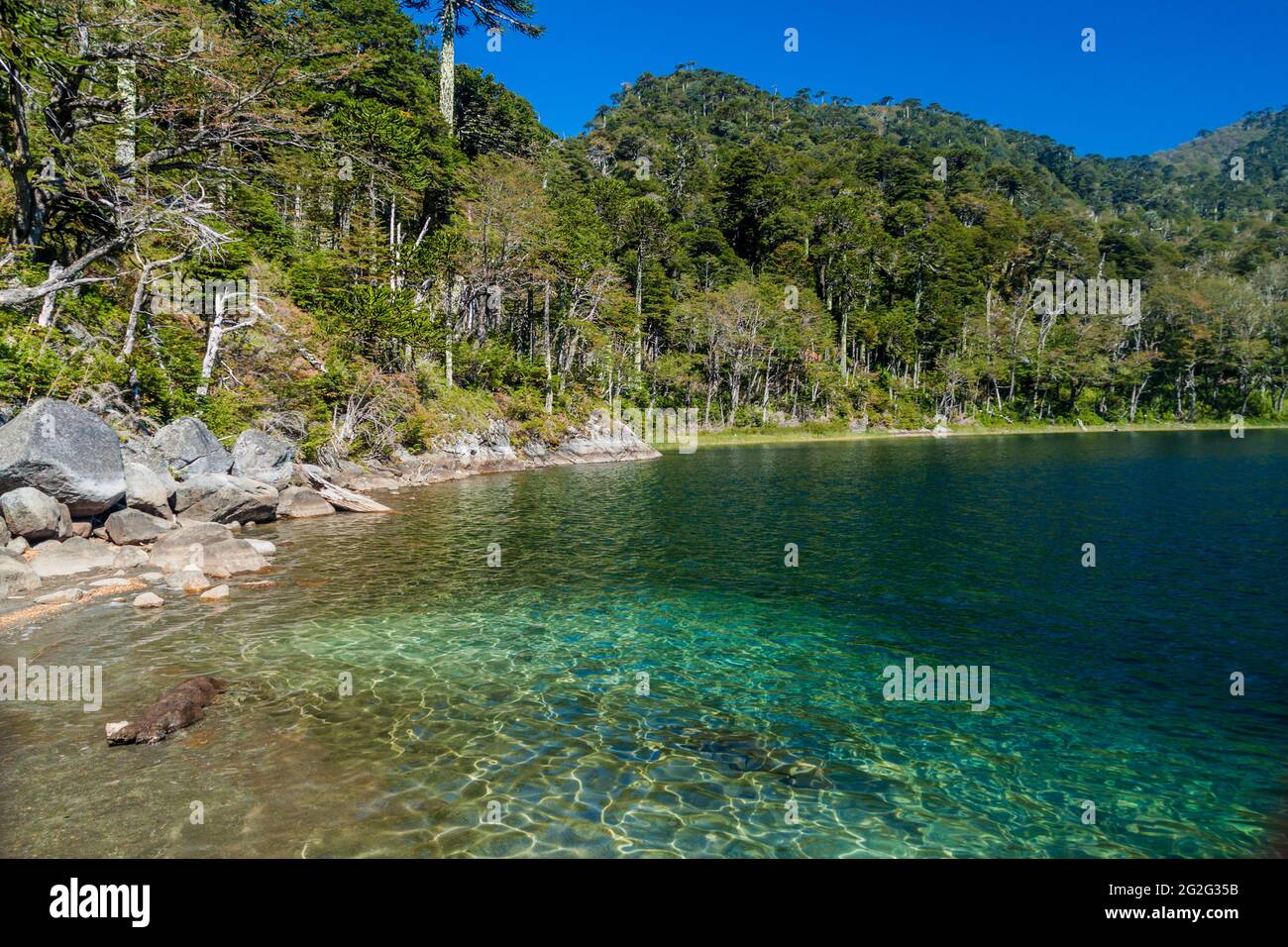 Lago verde hi-res stock photography and images - Alamy