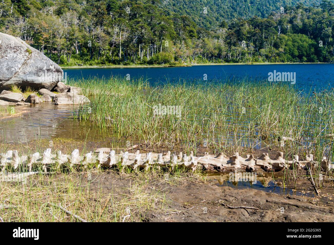 Lago verde hi-res stock photography and images - Alamy