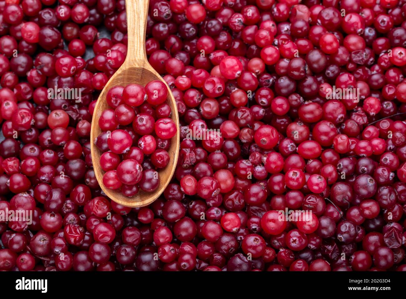 Ripe cranberries in a wooden spoon. Healthy food concept Stock Photo ...